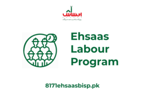 Step-by-Step Guide on Checking Your CNIC Status for the Ehsaas Program ...